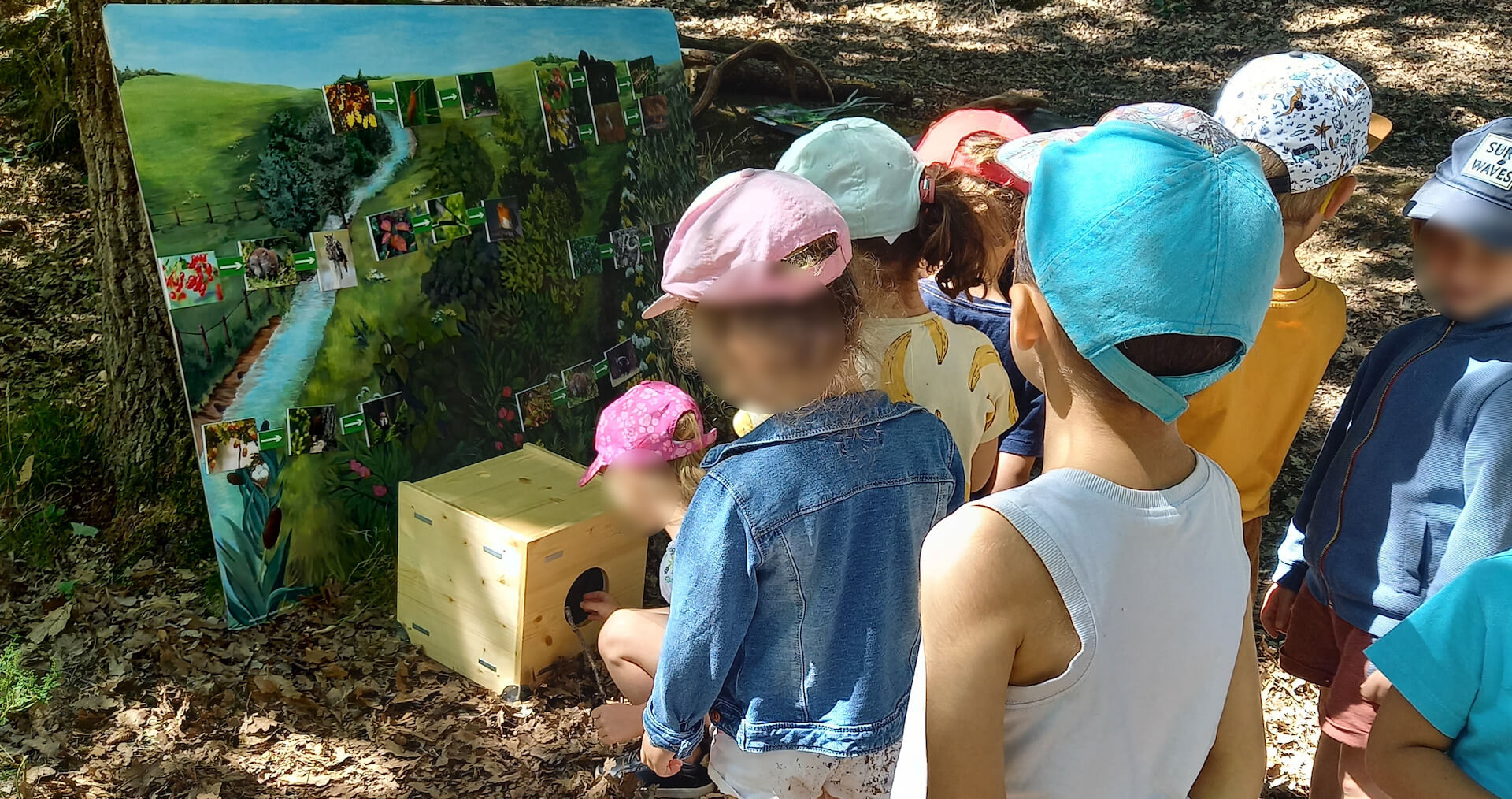 Nos interventions - Puy de Nature